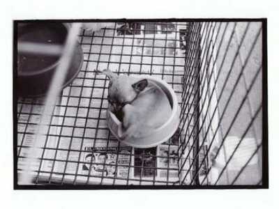 "People Stories: PAWS Student Art Exhibit" by University of Texas at ...