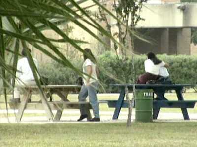 "UTPA Archive - Campus Beautification"